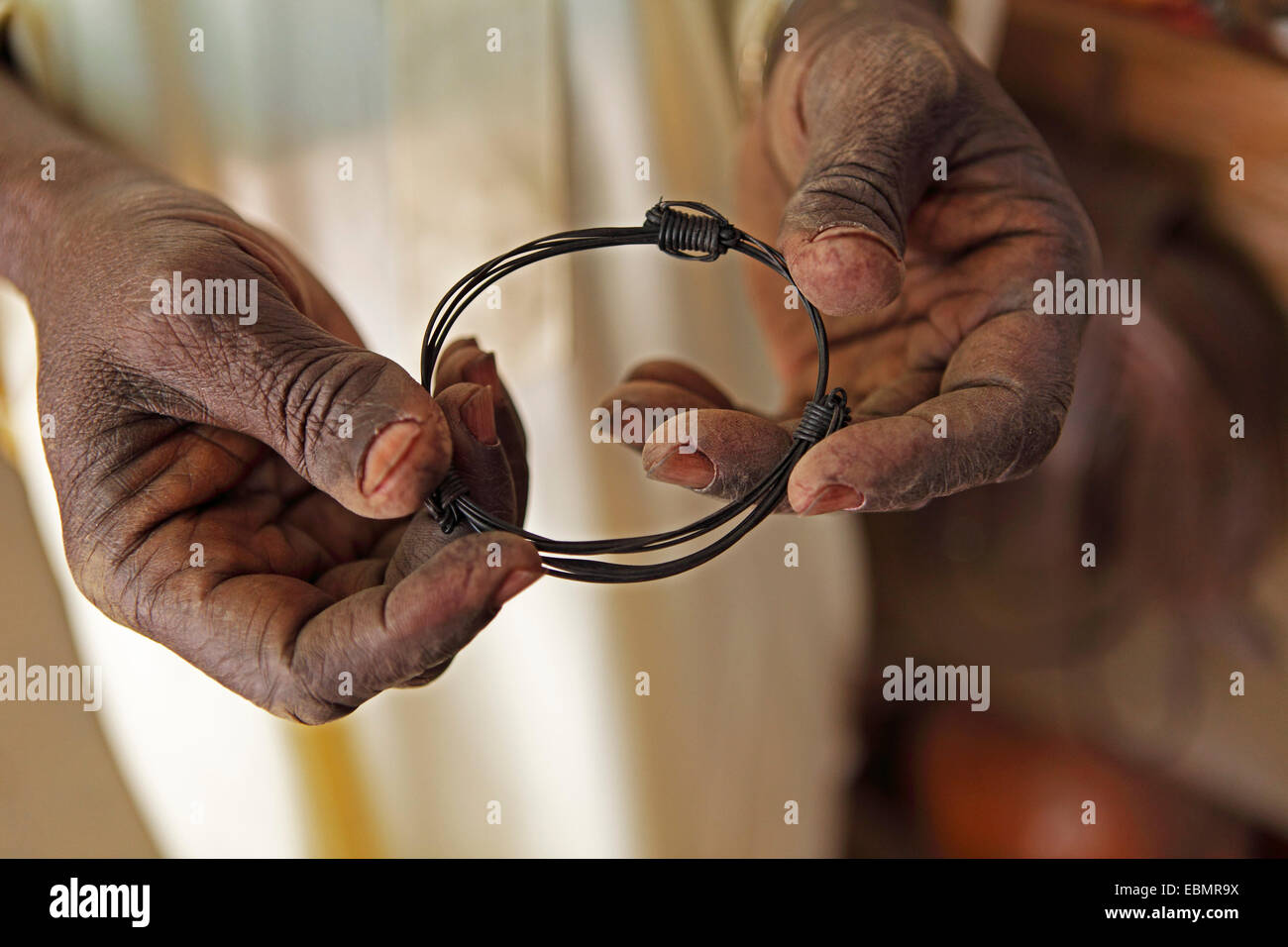 Elephant Holding Tail Banque d'image et photos - Alamy