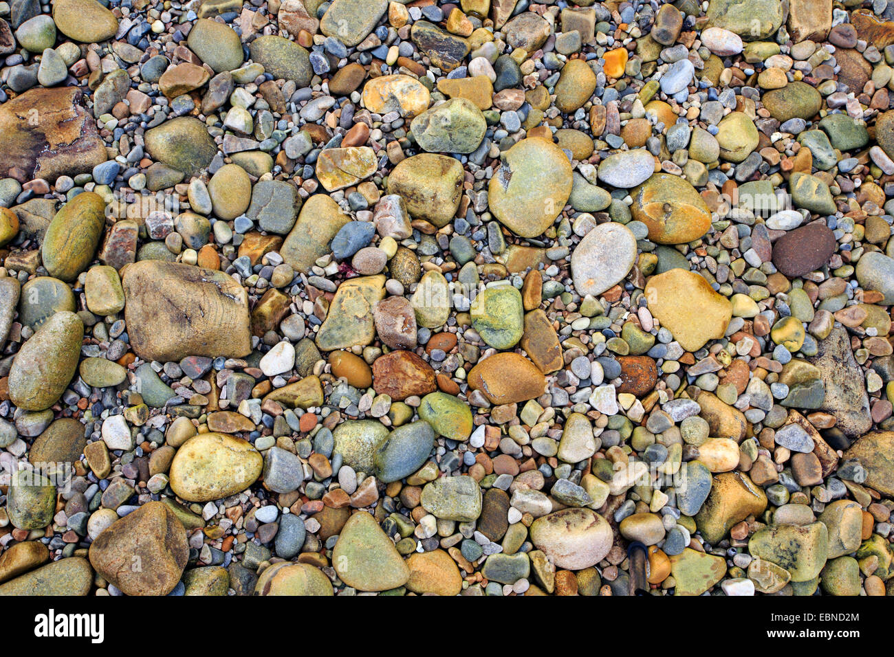 Gros plan de galets de plage Banque de photographies et d’images à ...