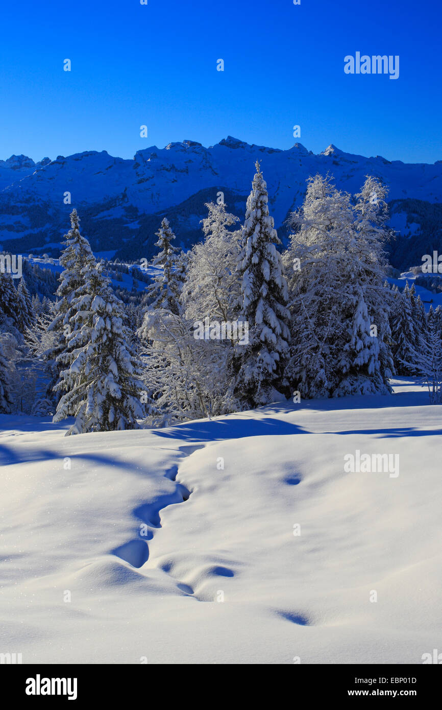 Panorama des alpes suisses en hiver Banque de photographies et d’images ...
