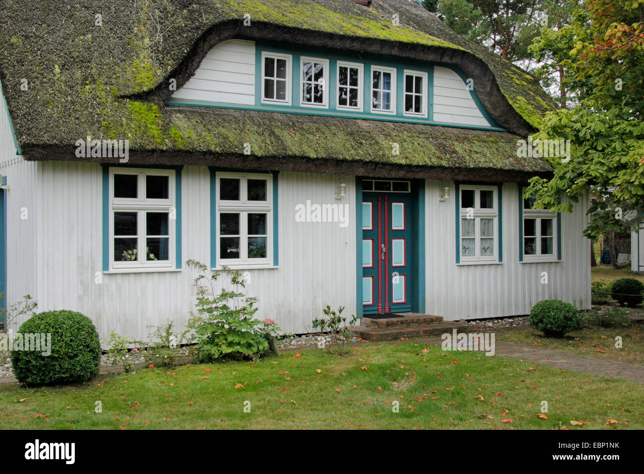 Maisons Traditionnelles Au Toit De Chaume Banque d'image et photos - Alamy