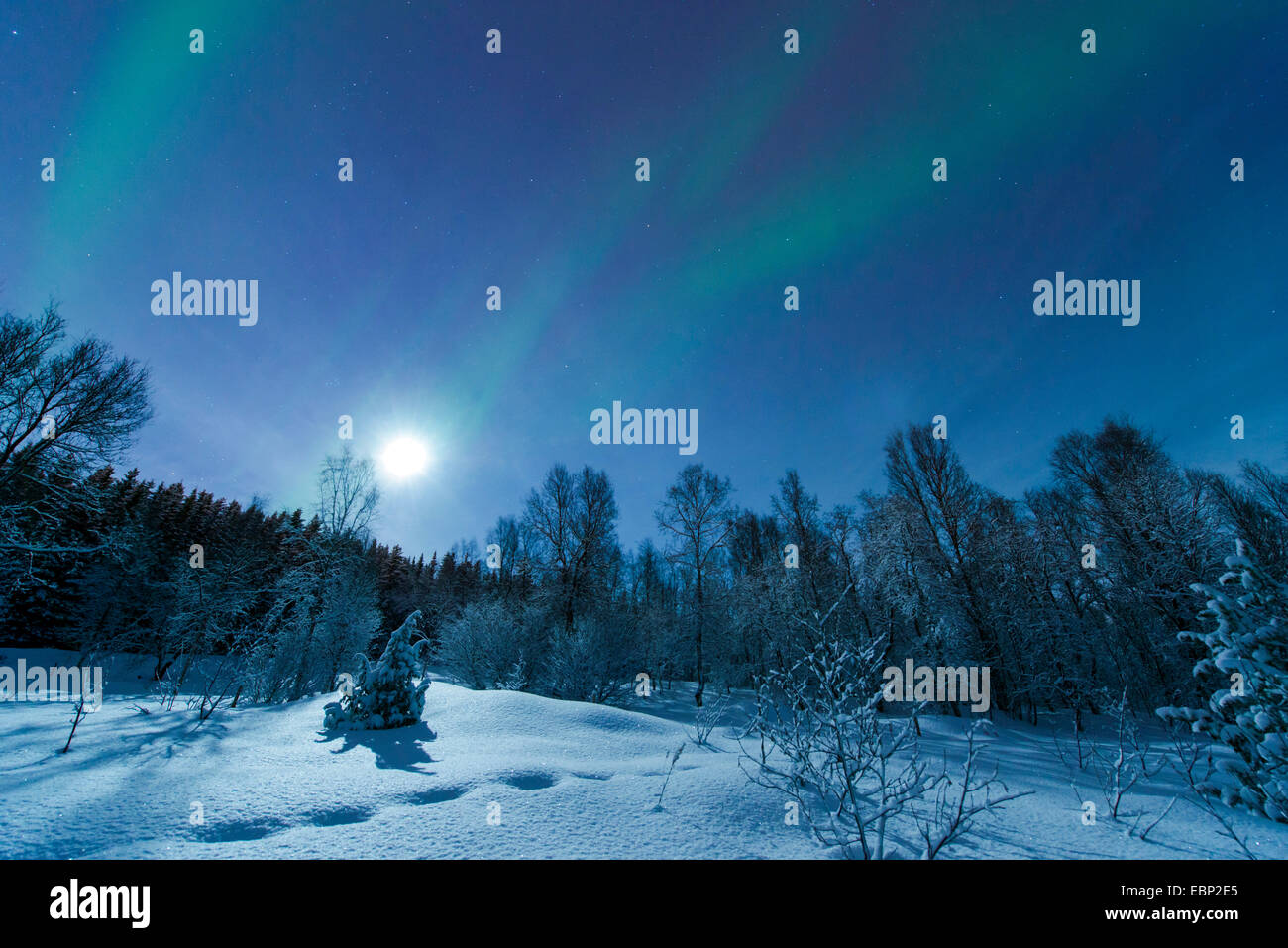 Feux foret Banque de photographies et d’images à haute résolution - Alamy