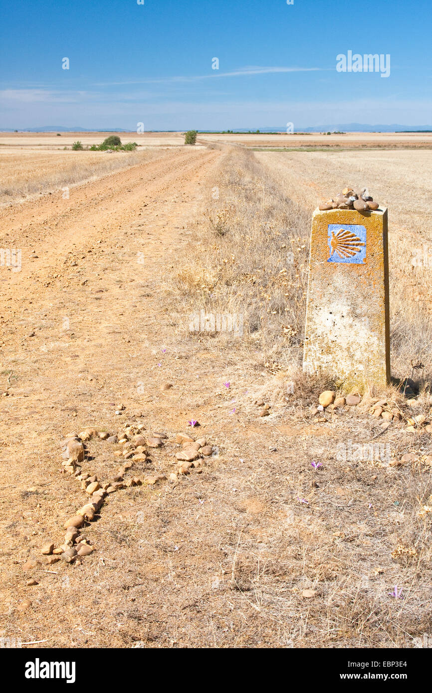 Chemin de Saint-Jacques de Compostelle, ancienne voie romaine Via ...
