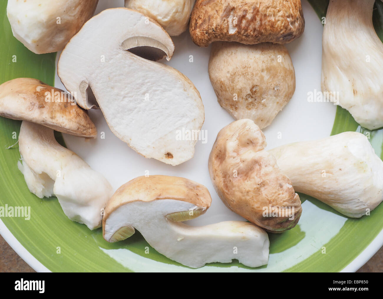 Boletus edulis aux champignons porcini Banque de photographies et d’images à haute résolution ...