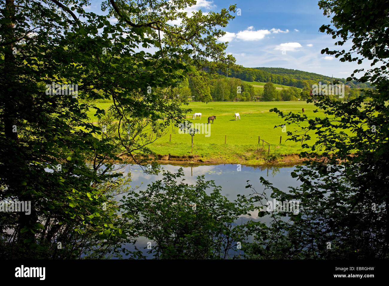 Plaine Inondable Plaine Inondable Banque d'image et photos - Alamy