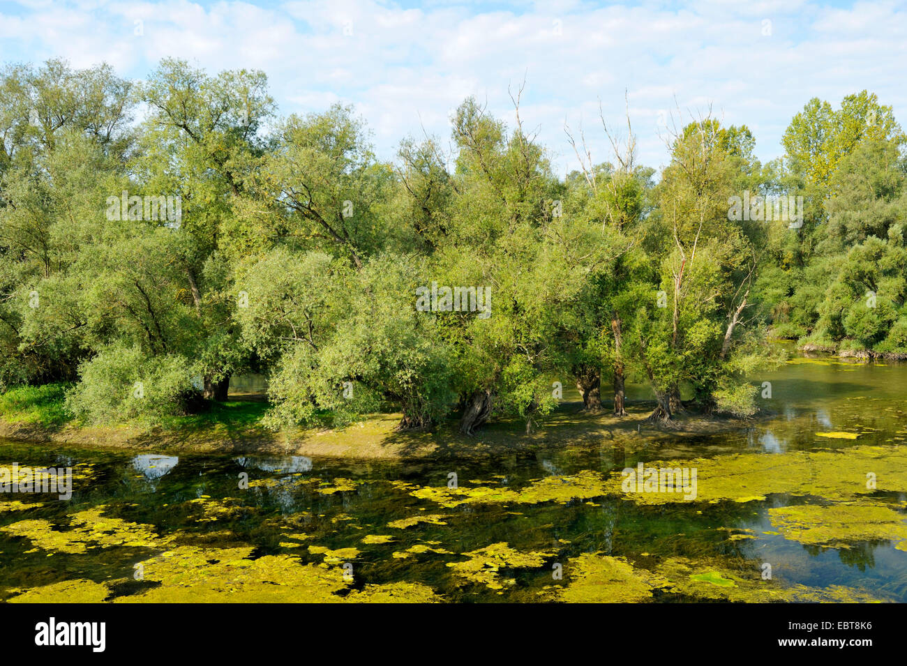 Plaine inondable du rhin Banque de photographies et d’images à haute ...