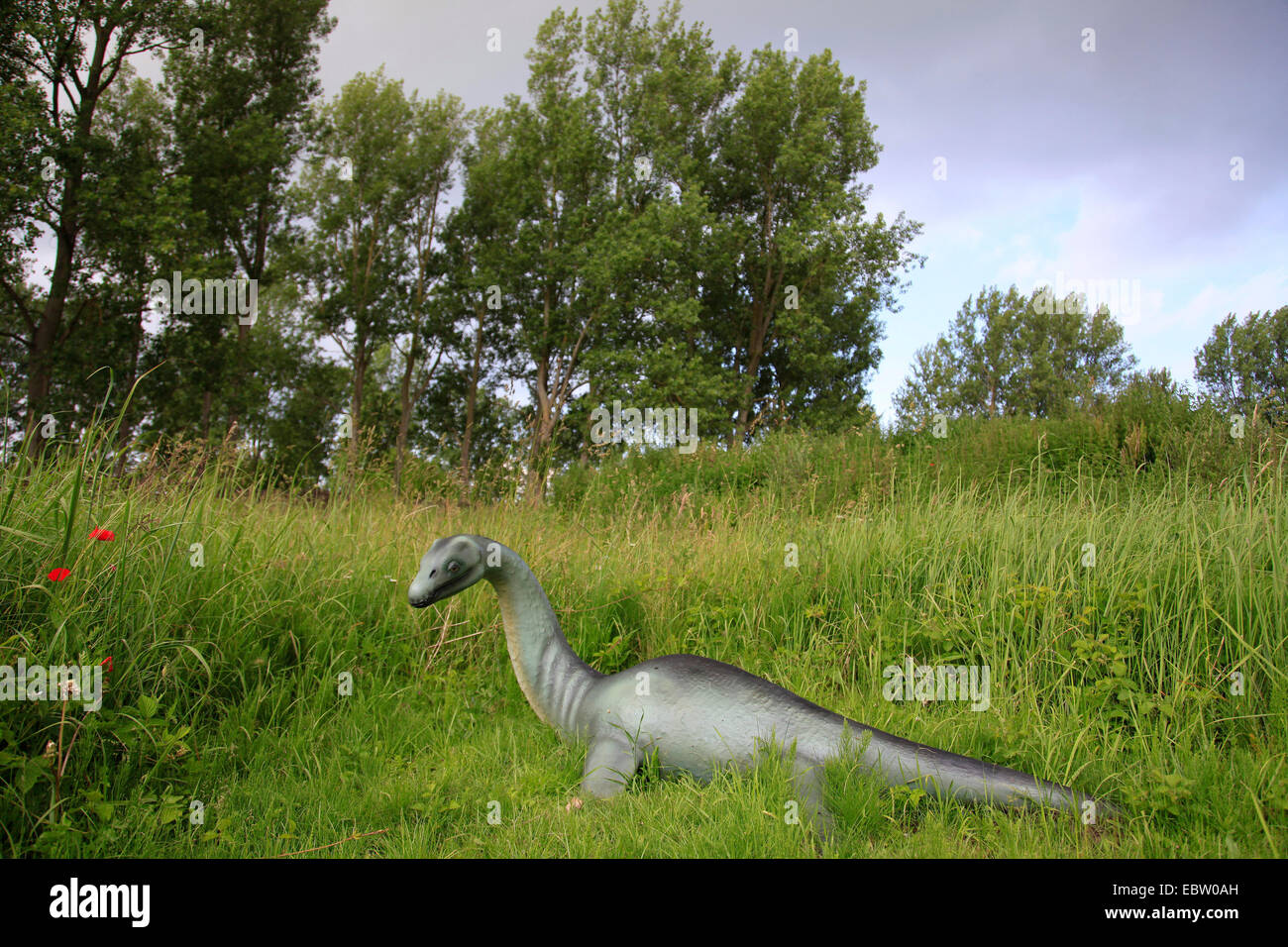 Début de reptile (Protorosaurus), ancêtre des dinosaures Photo Stock ...