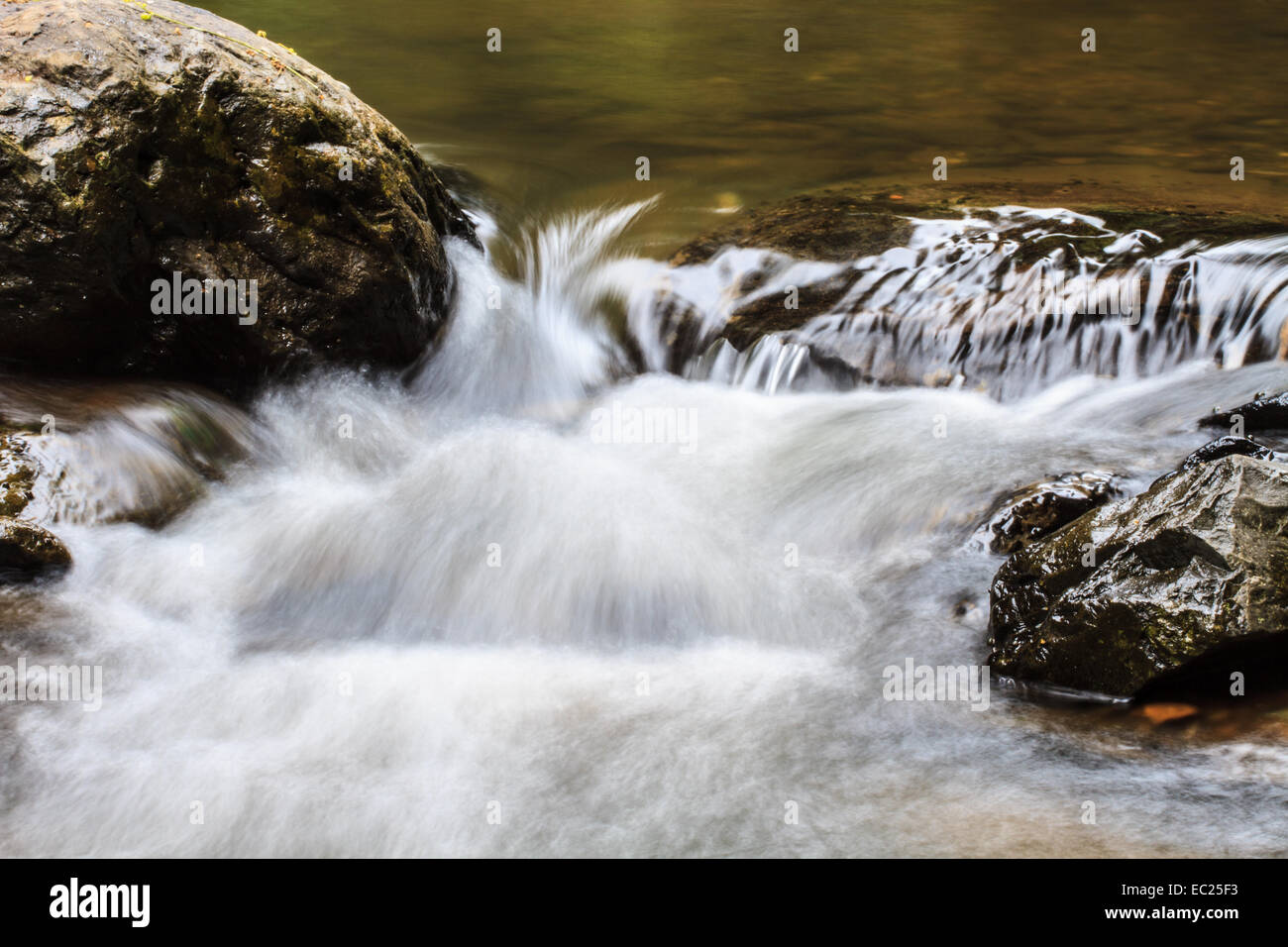 Cascade de la forêt tropicale et les rochers couverts de mousse Photo ...