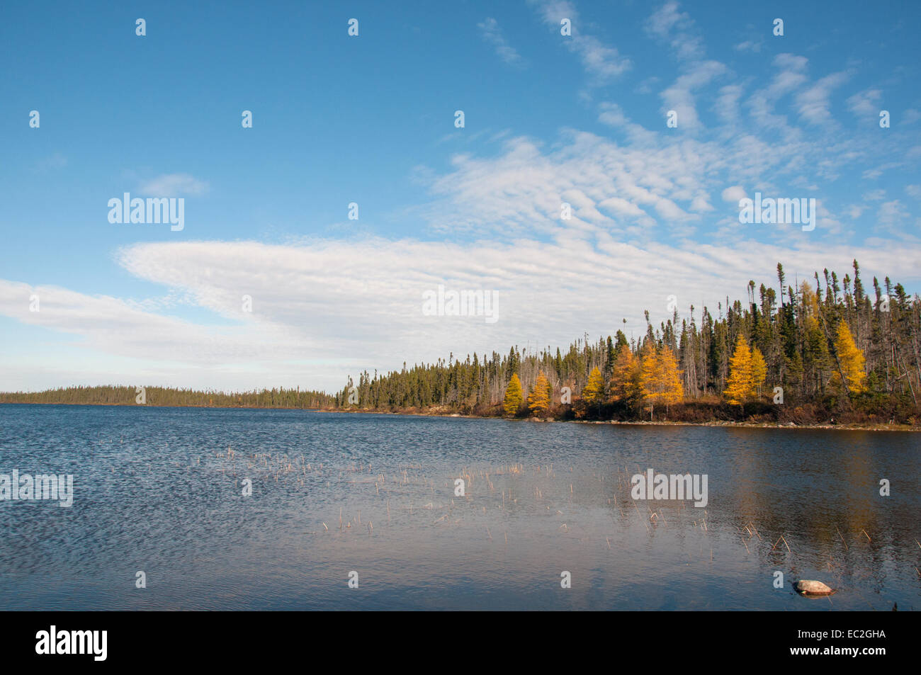 Le plus grand lac d'eau douce du Québec : le lac Mistassini situé dans ...