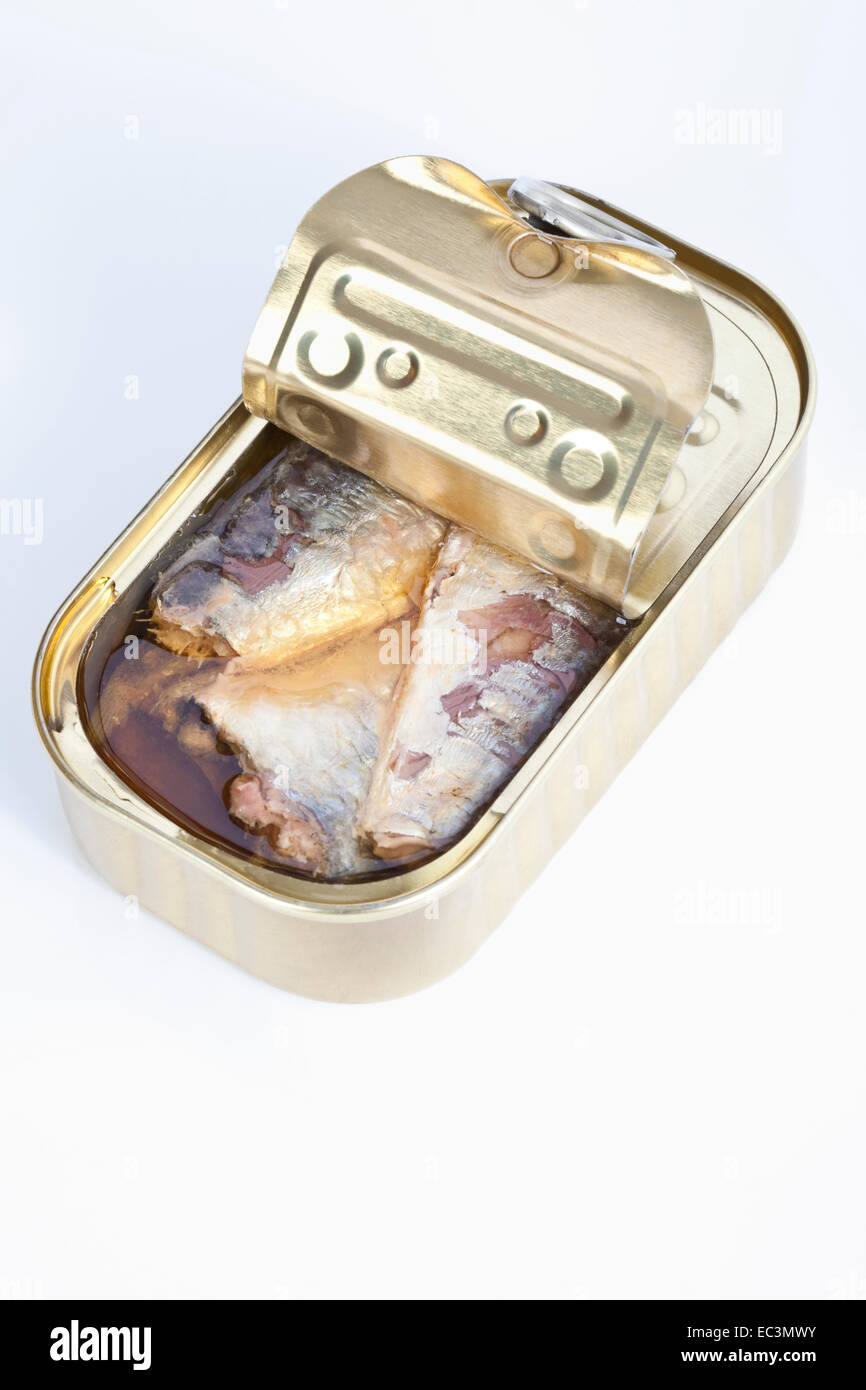 Oily fish sardines in can Banque de photographies et d’images à haute ...
