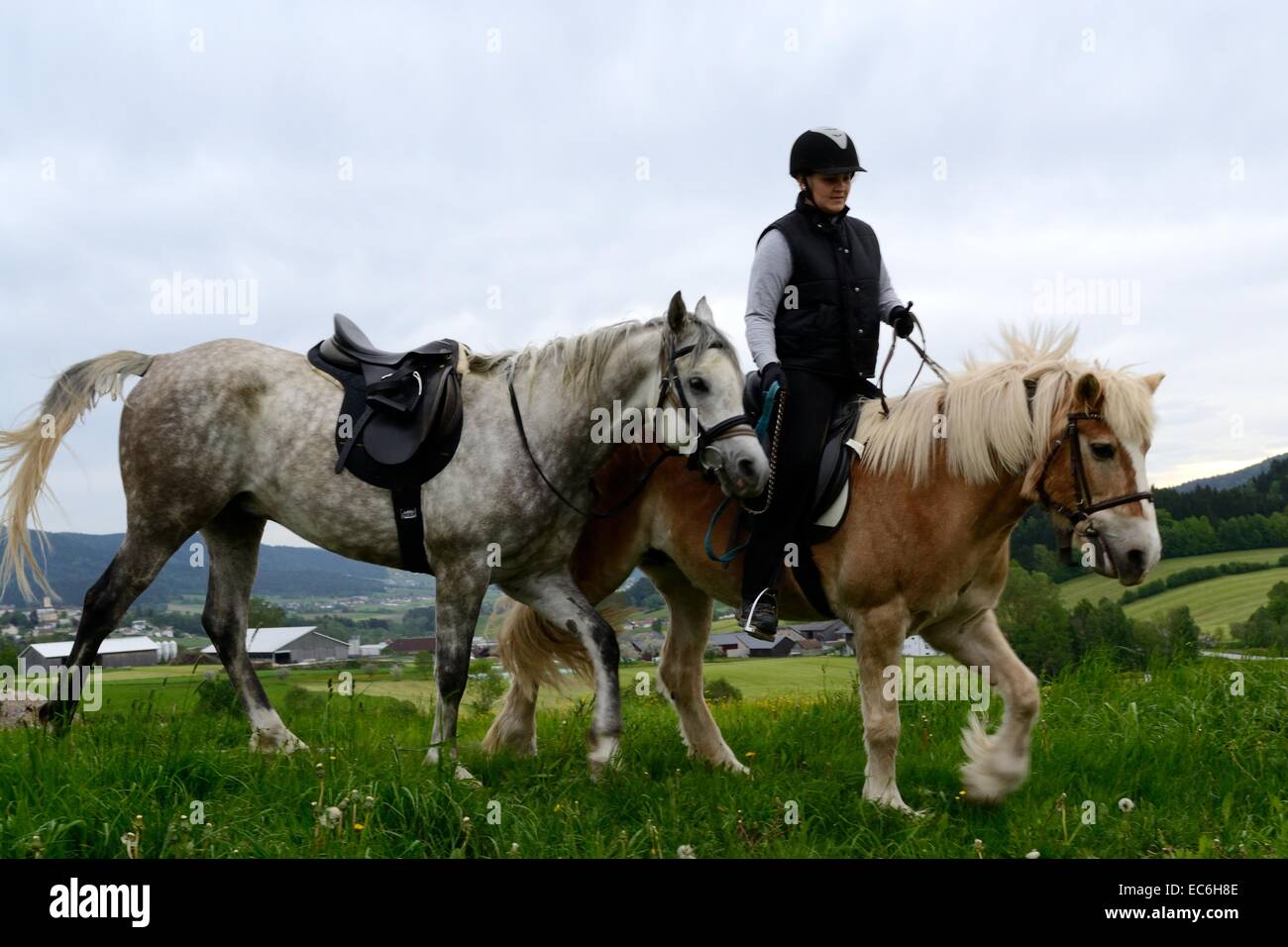 Cavalier sur le cheval Banque de photographies et d’images à haute ...