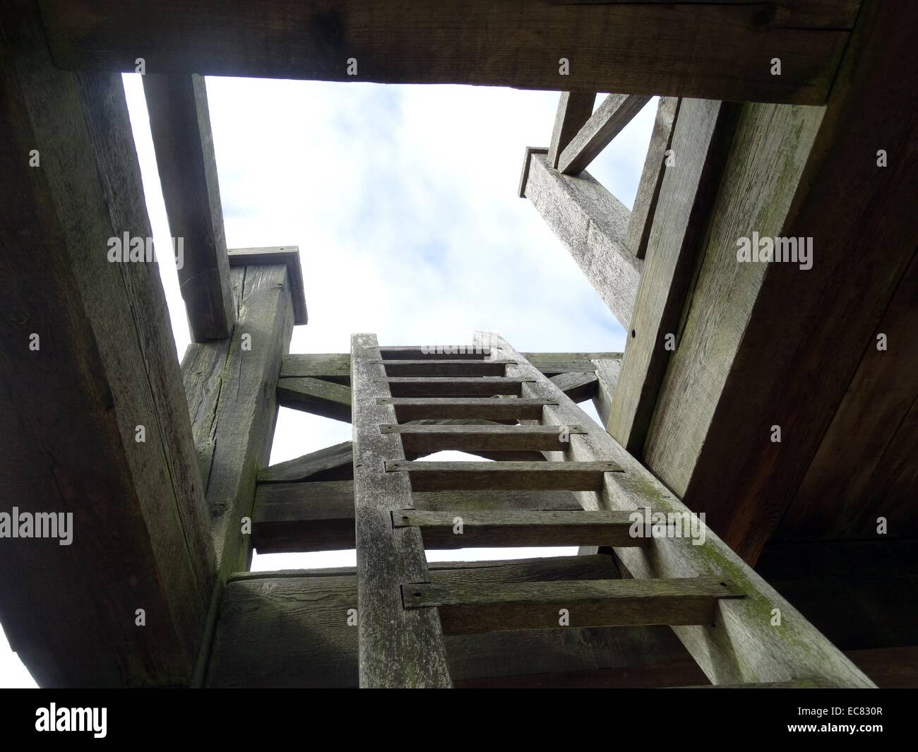 Empire romain rome ancien fort coventry reconstruction militaire Banque ...