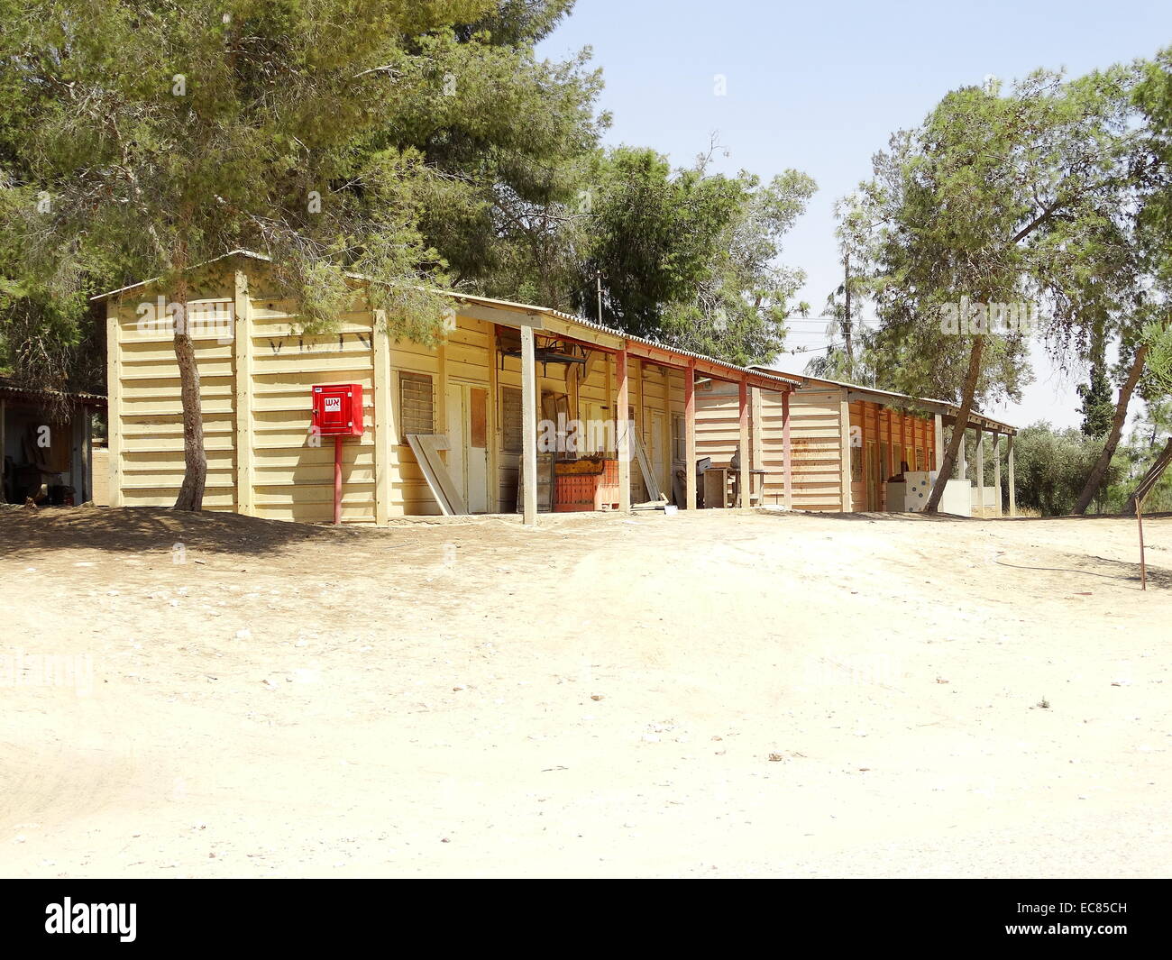 Kibboutz ferme agriculture collective arbres desert israel revivim ...