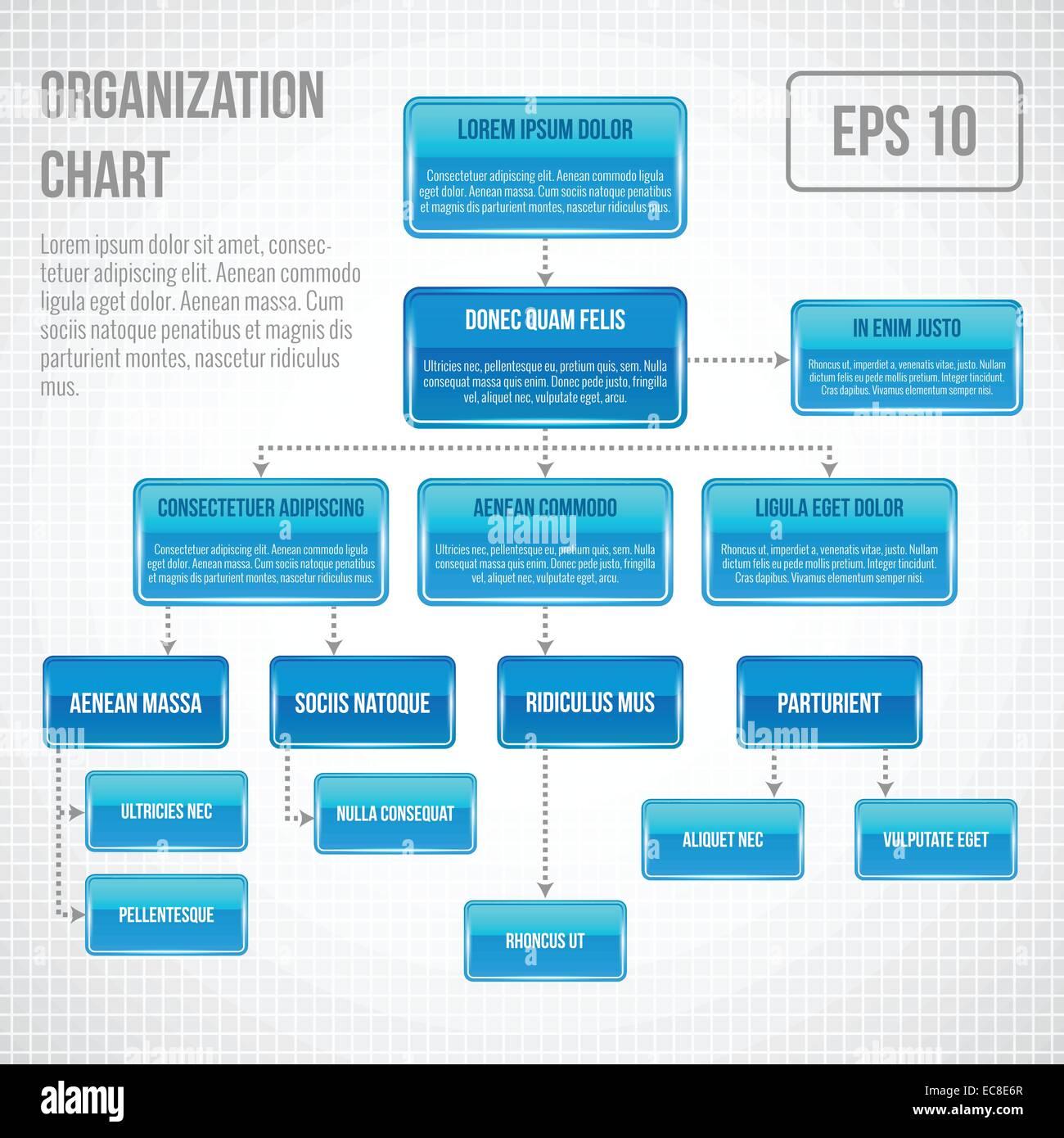 Infographie - Organigramme Organigramme de la structure de l'entreprise ...