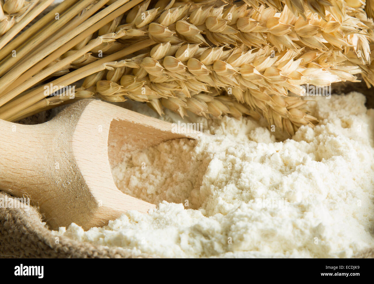 Sac de blé Banque de photographies et d’images à haute résolution - Alamy