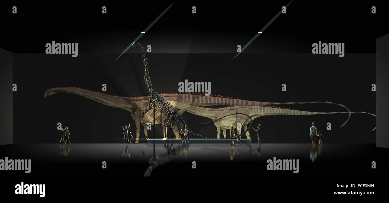 Diplodocus longus Banque de photographies et d’images à haute ...