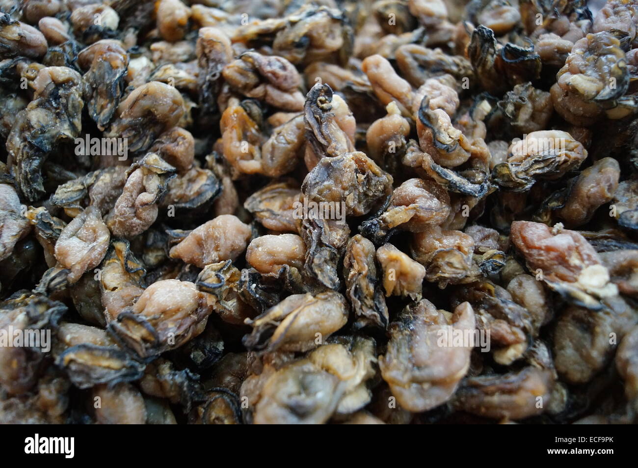 Dry seafood Banque de photographies et d’images à haute résolution - Alamy