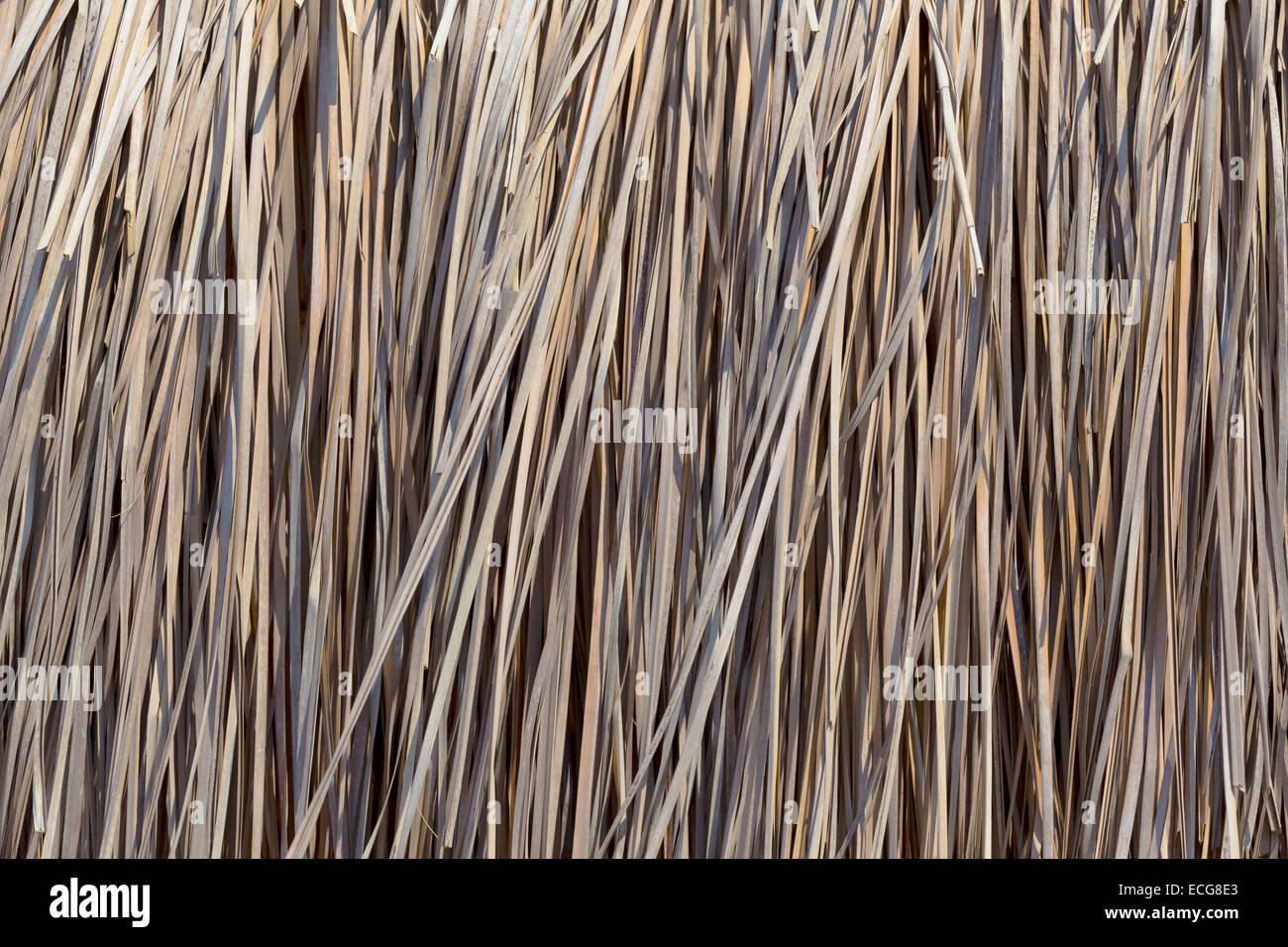 Hutte au toit de chaume Banque de photographies et d’images à haute résolution - Alamy