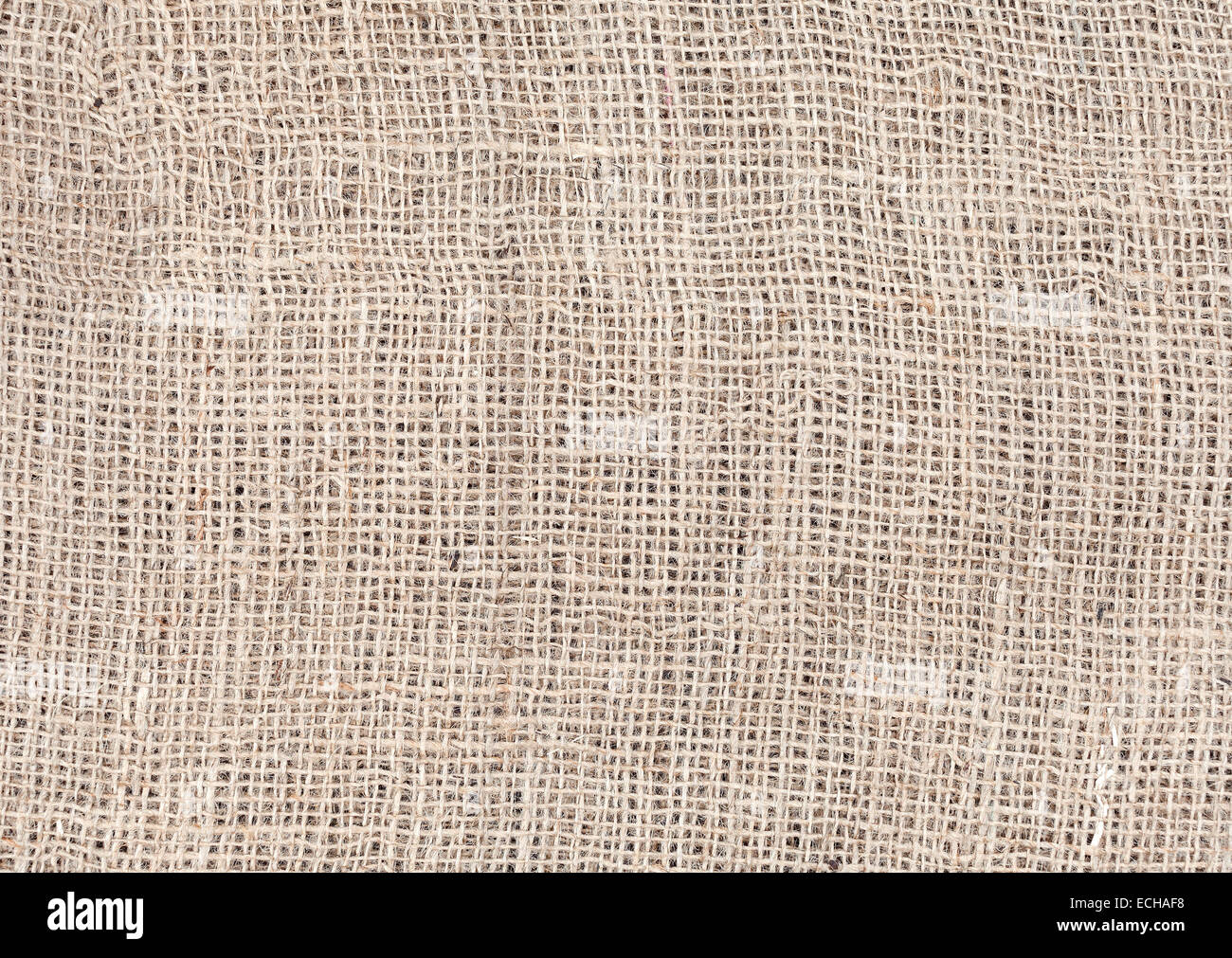 Lin naturel Banque de photographies et d’images à haute résolution - Alamy