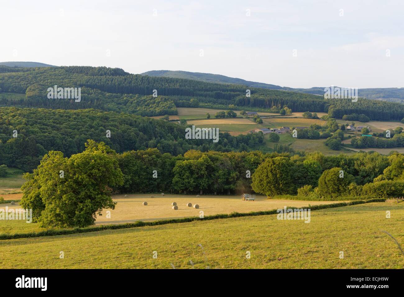Civilisation celtique Banque de photographies et d’images à haute ...
