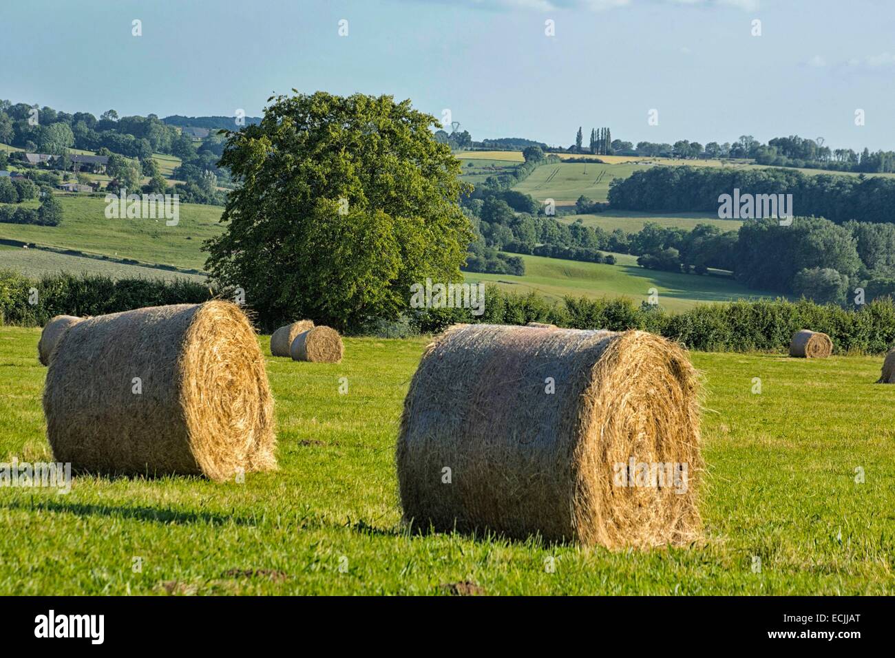 Paysage de bocage Banque de photographies et d’images à haute ...