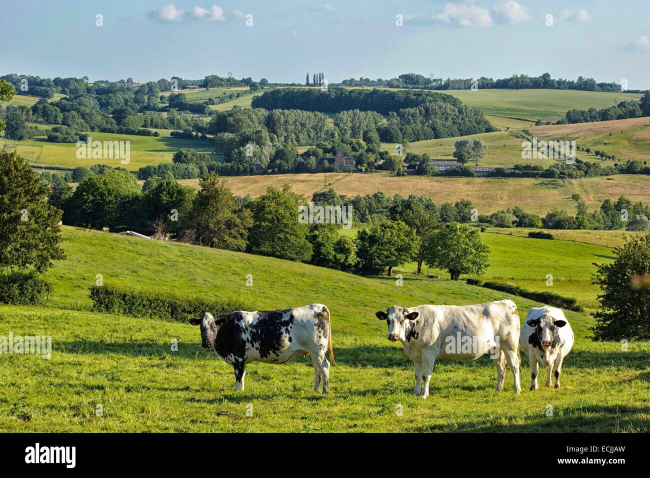 Paysage De Bocage Banque d'image et photos - Alamy