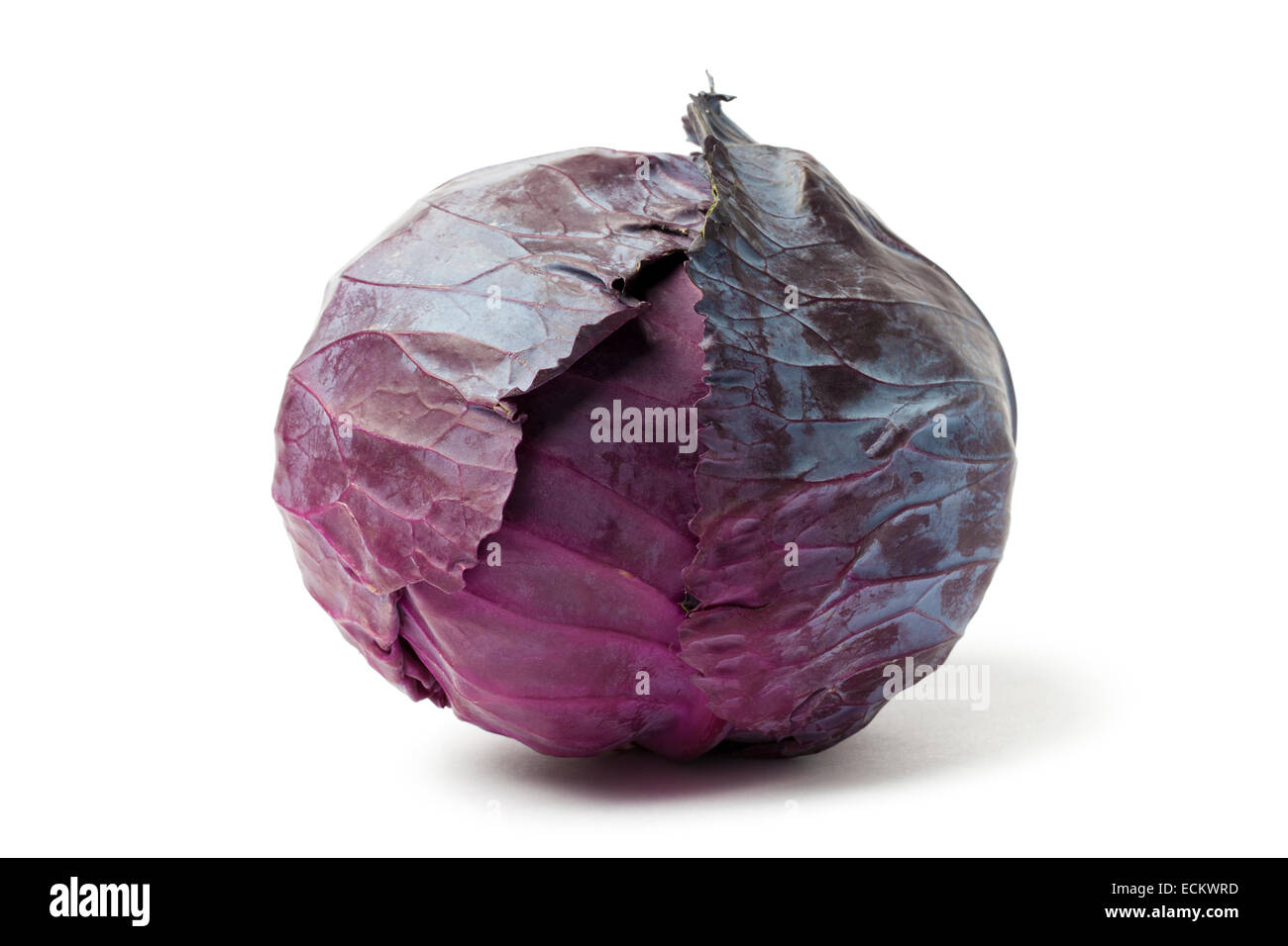 Chou rouge chou blanc Banque de photographies et d’images à haute ...