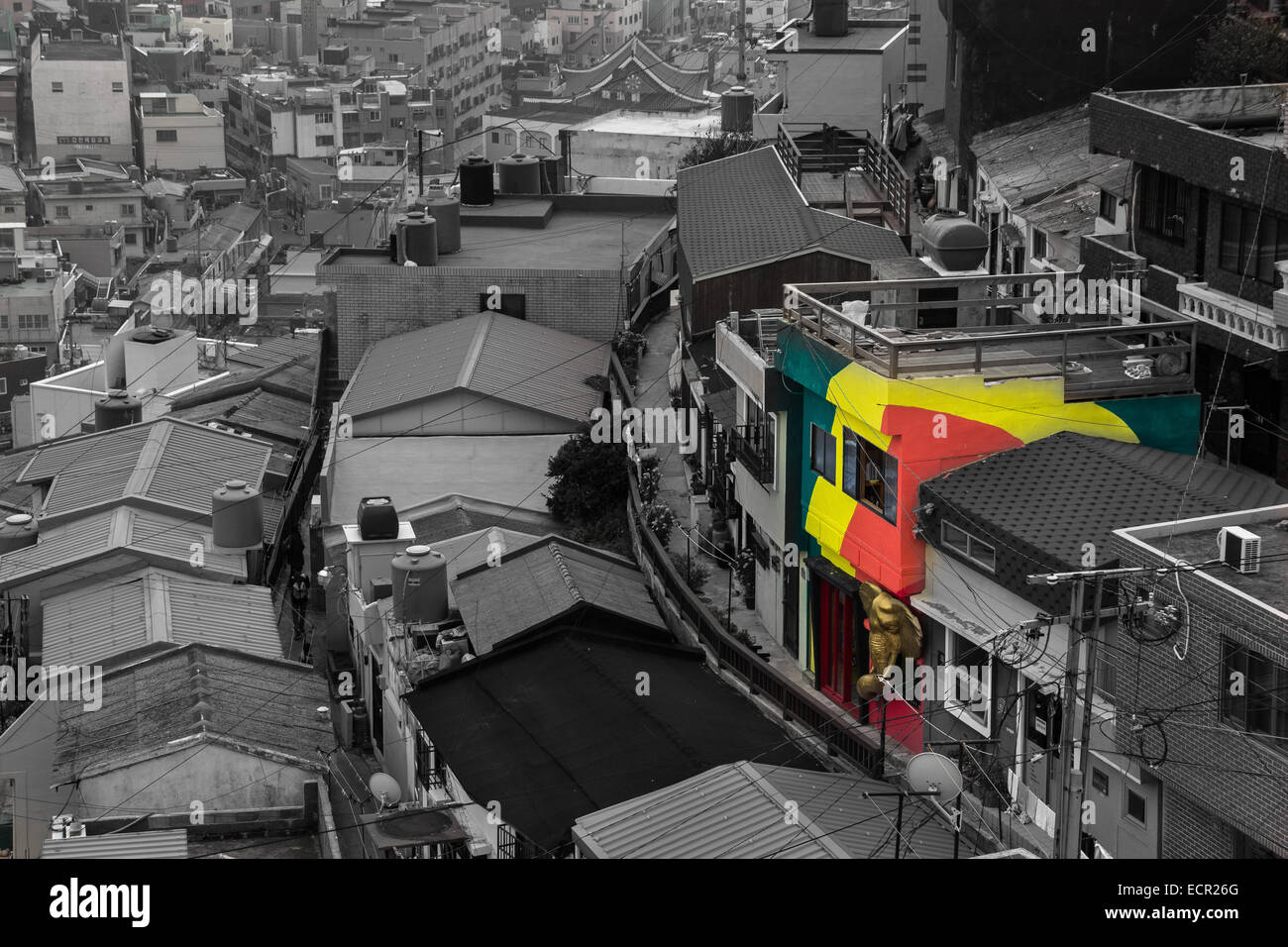 Jamaican rastafarian Banque de photographies et d’images à haute ...