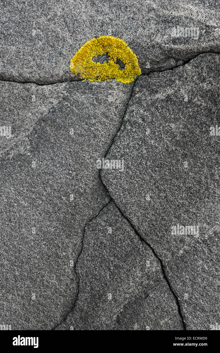 Symbole humain naturel avec mousse jaune à la tête Photo Stock - Alamy