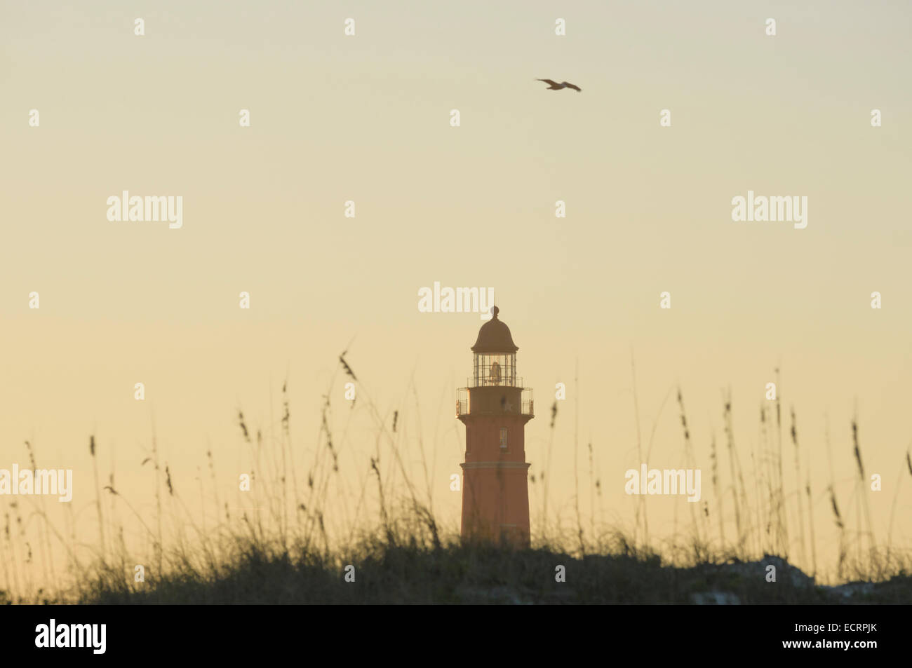 Ponce inlet lighthouse point park Banque de photographies et d’images à ...