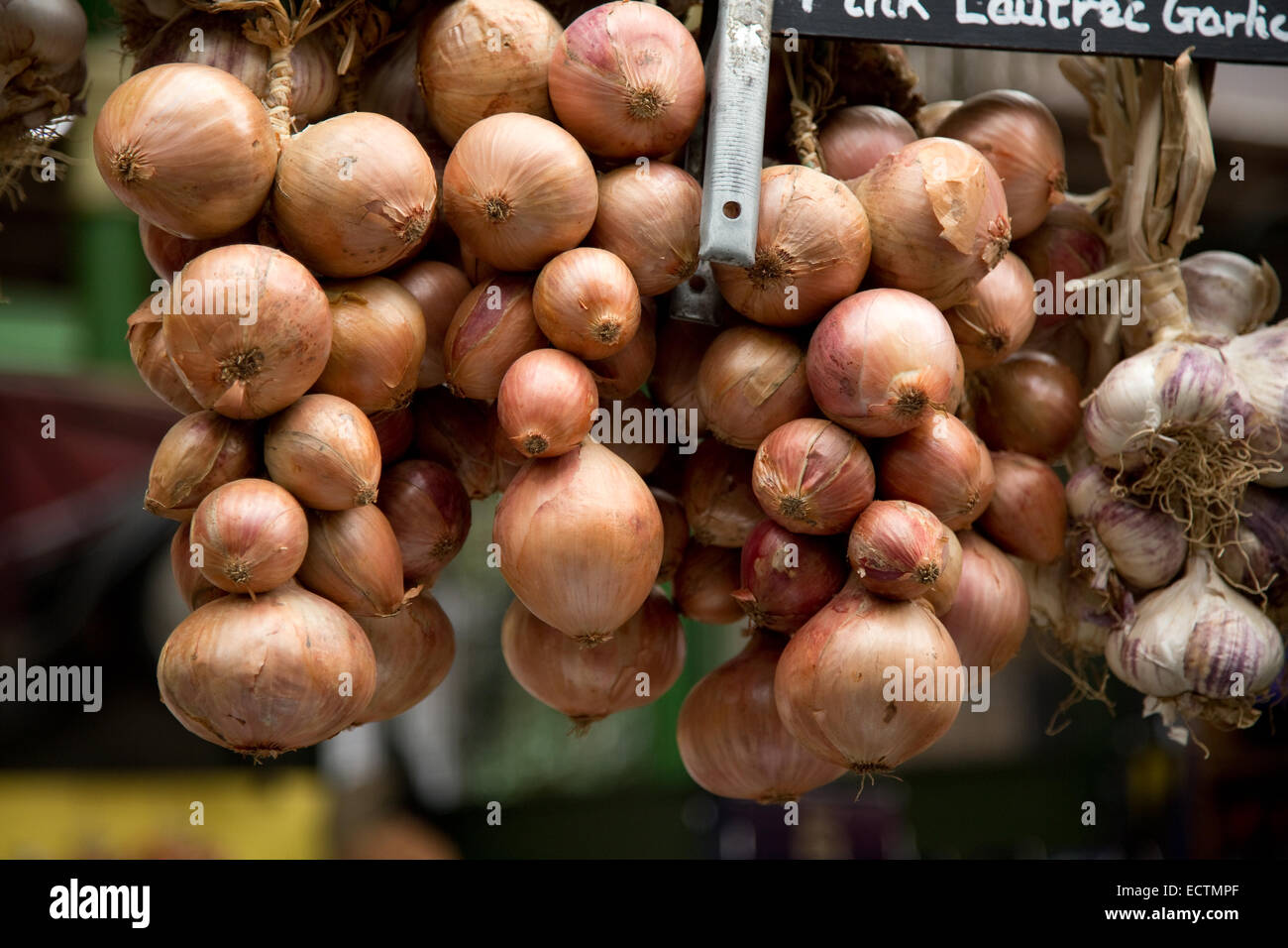 Oignons suspendus Banque de photographies et d’images à haute ...