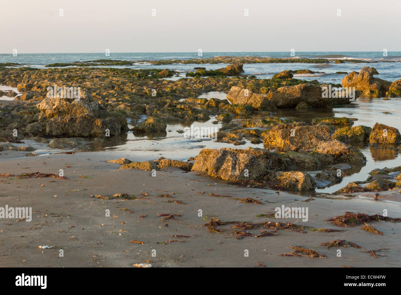 Mer caspienne Banque de photographies et d’images à haute résolution ...