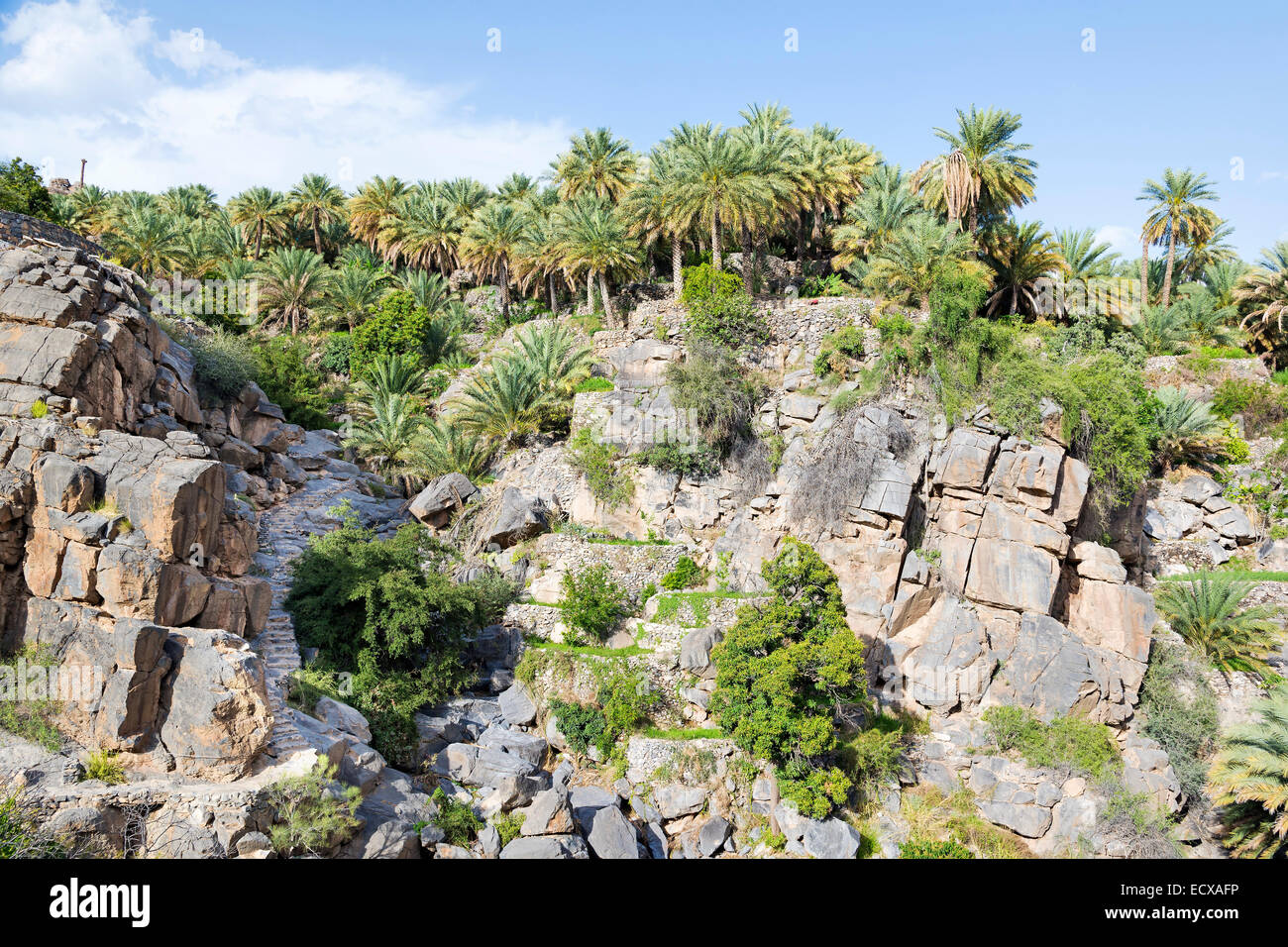 Misfah oman Banque de photographies et d’images à haute résolution - Alamy