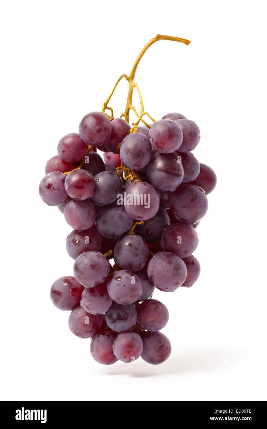 Grappe de raisin rouge raisin rouge Banque de photographies et d’images ...