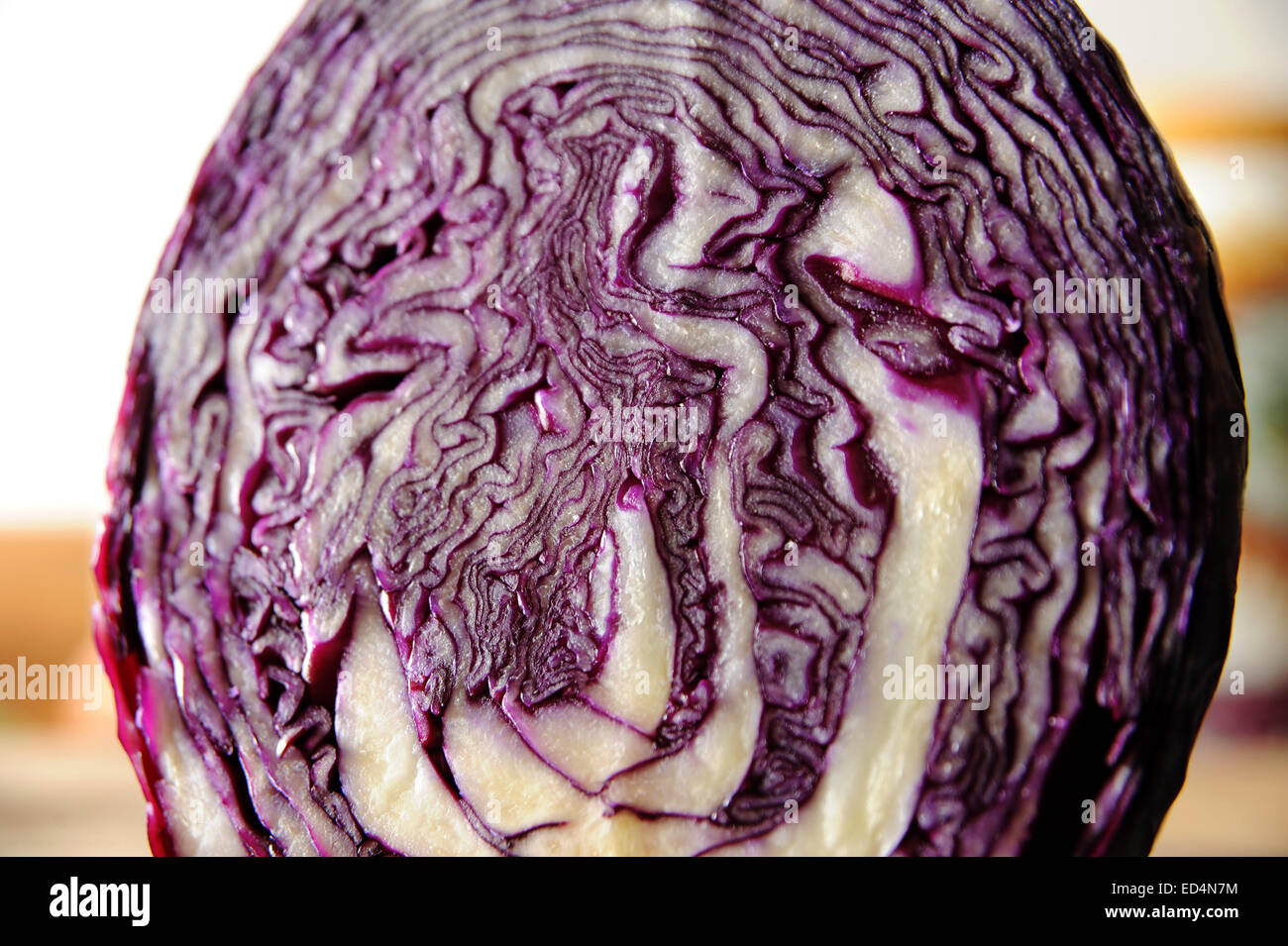 Choux rouges Banque de photographies et d’images à haute résolution - Alamy