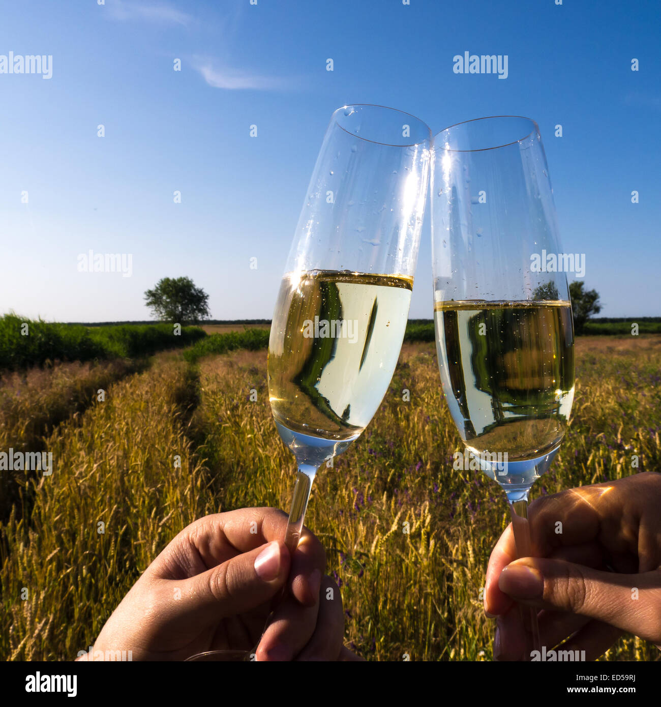 Un toast Banque de photographies et d’images à haute résolution - Alamy