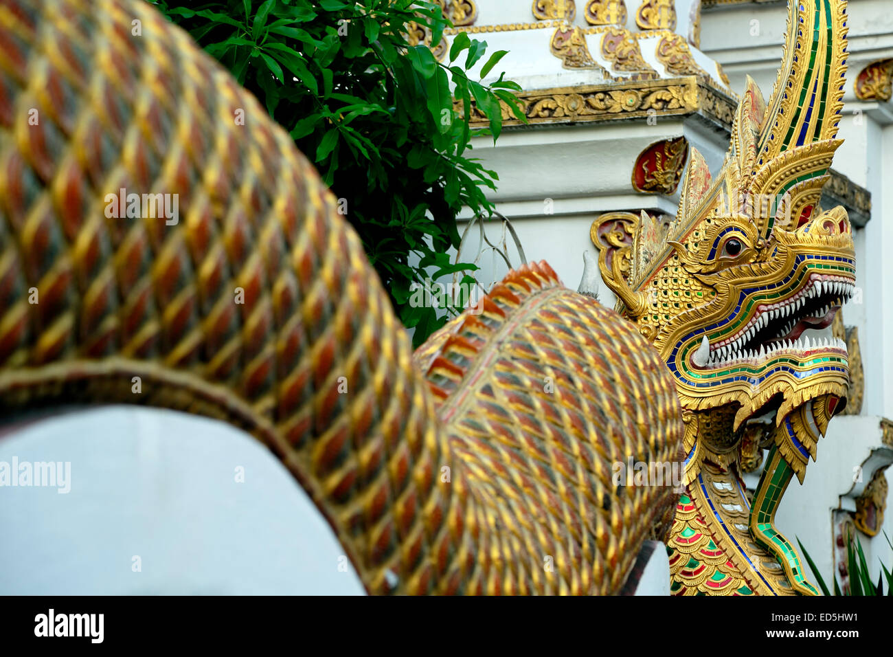 Dragon tail Banque de photographies et d’images à haute résolution - Alamy