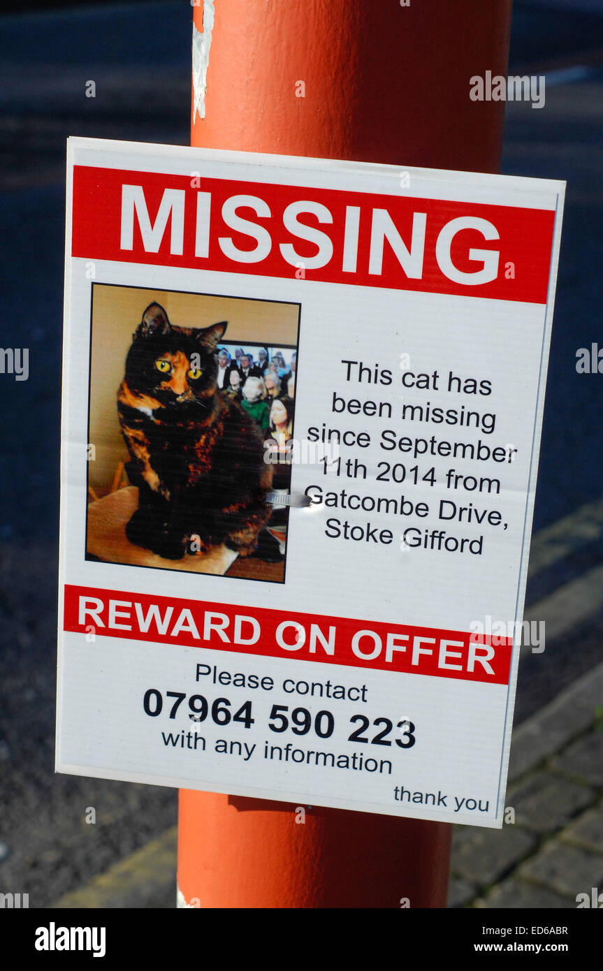 Affiche De Chat Perdu Banque d'image et photos - Alamy