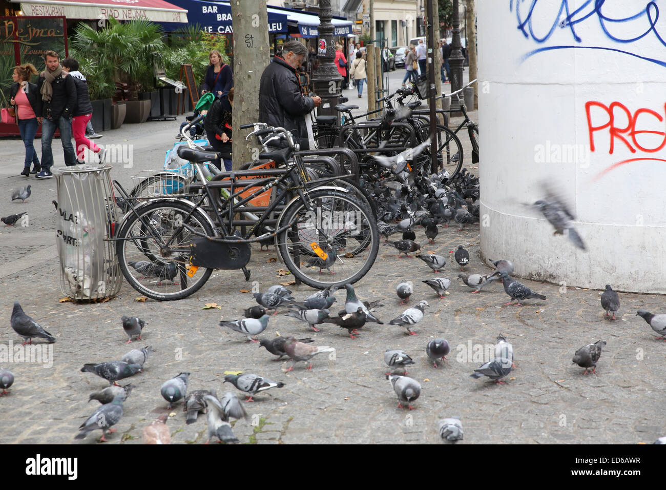 Paris pigeons Banque de photographies et d’images à haute résolution ...