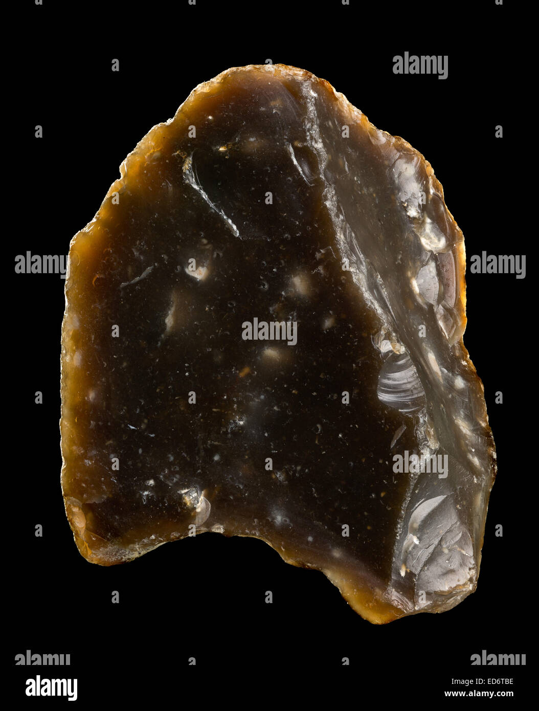 Le silex noir (flintstone, SiO2) spécimen Photo Stock - Alamy