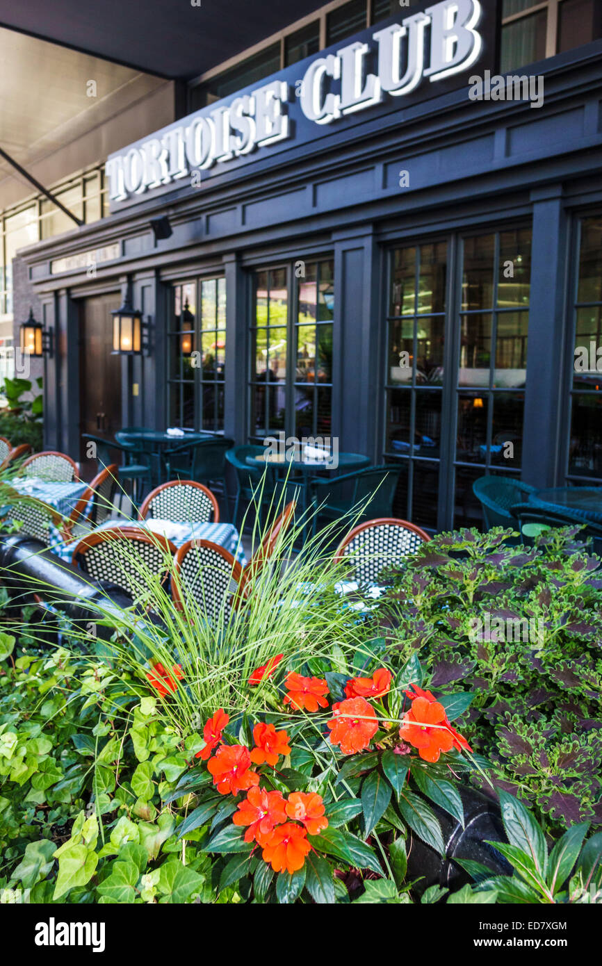 Nourriture pour tortue Banque de photographies et d’images à haute ...