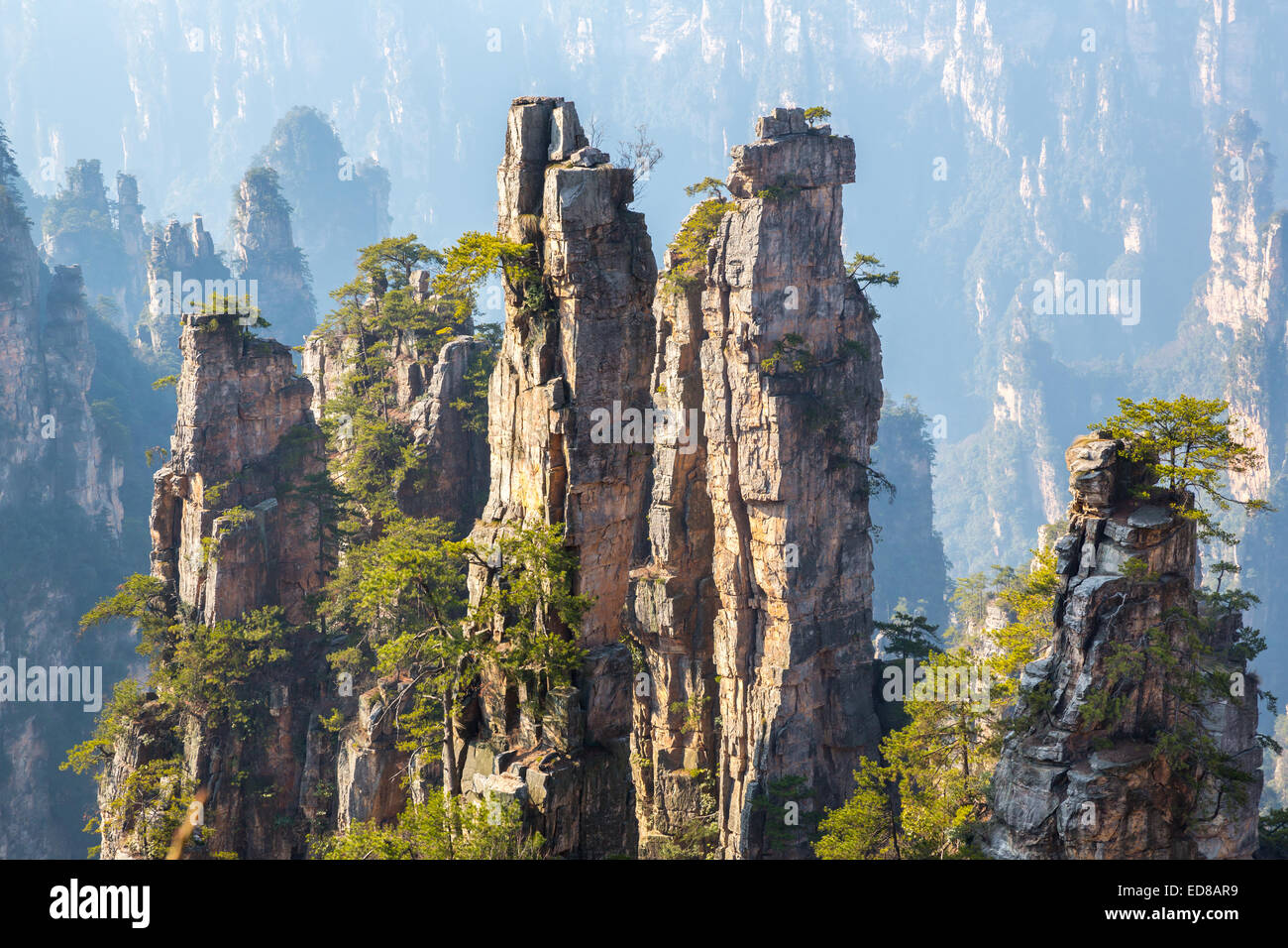 Parc forestier national de zhangjiajie Banque de photographies et d ...