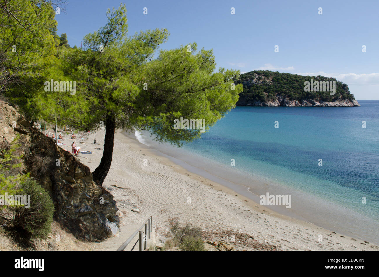 Staphylos Banque de photographies et d’images à haute résolution - Alamy