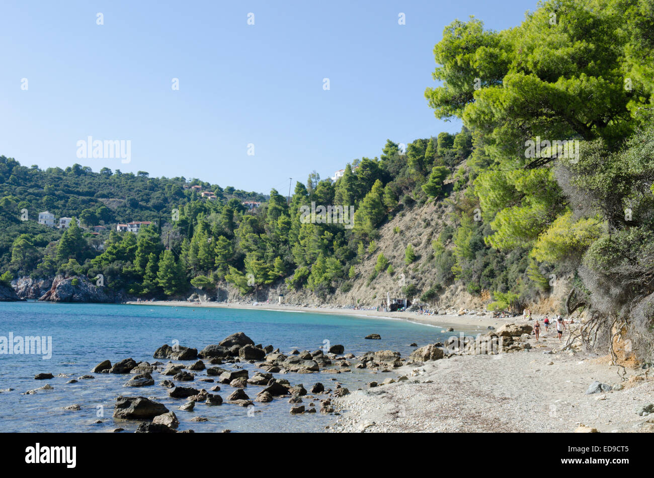 Staphylos Banque de photographies et d’images à haute résolution - Alamy