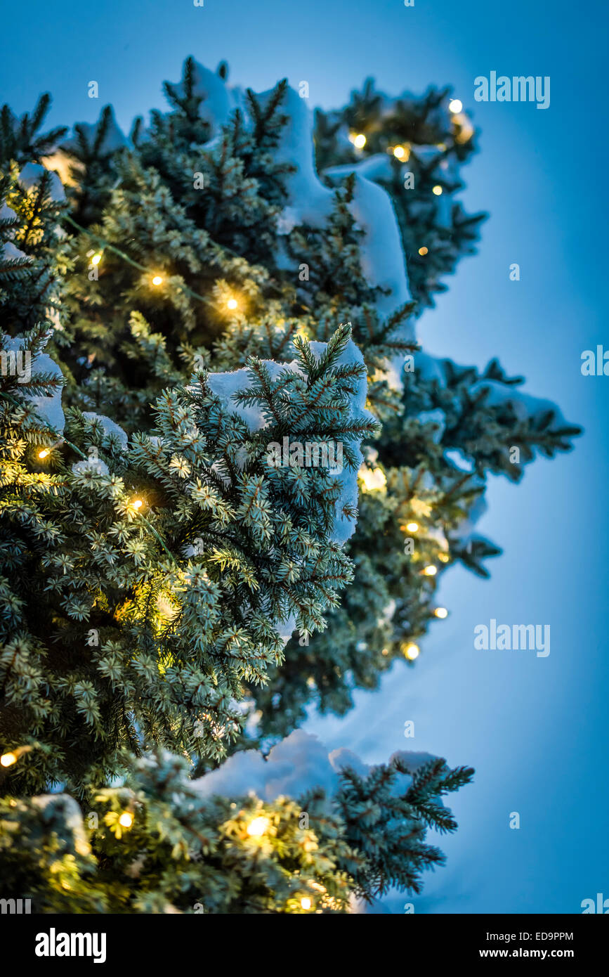 Sapin de Noël décoration de fête à l'extérieur dans la neige. Couvert ...