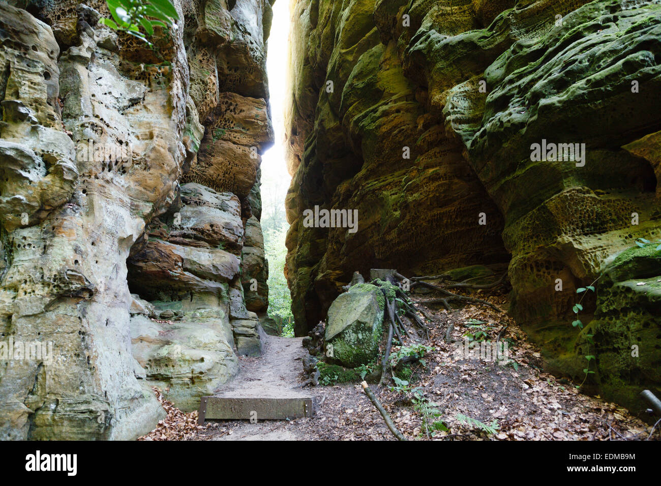 Mullerthal Trail près de Steinsel, Luxembourg Photo Stock - Alamy