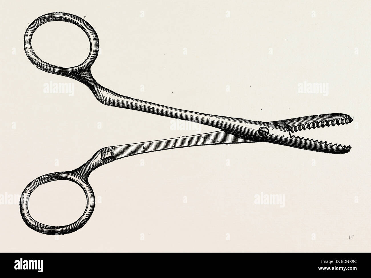 Forceps 19th century Banque de photographies et d’images à haute ...