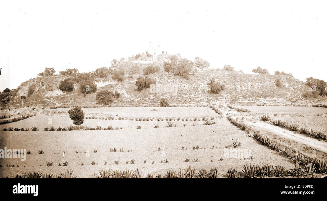 Cholula, la pyramide Gran Piramide, Jackson, William Henry, 1843-1942 ...