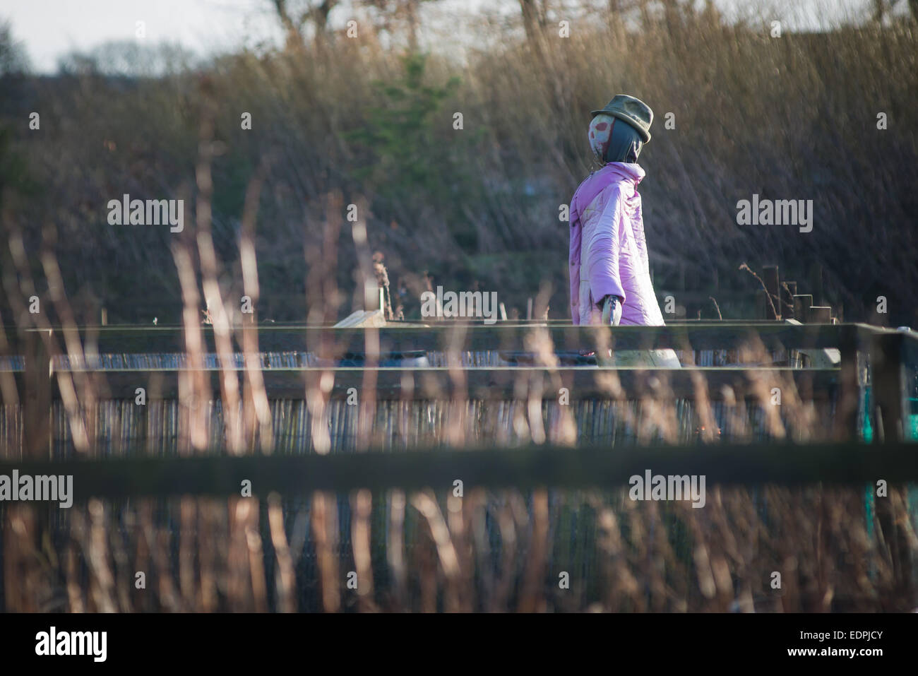 Crow scarer Banque de photographies et d’images à haute résolution - Alamy