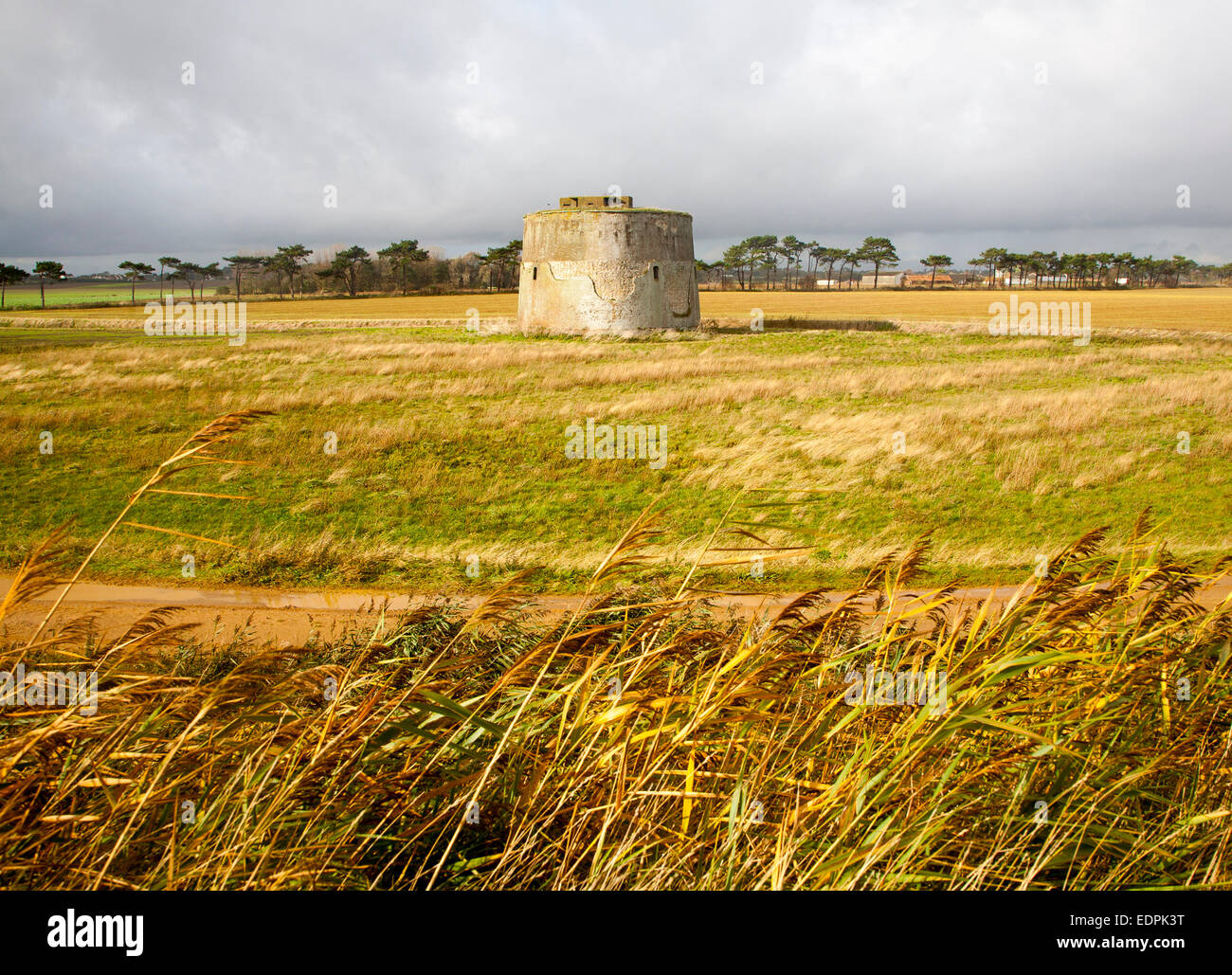 Tour martello z Banque de photographies et d’images à haute résolution ...
