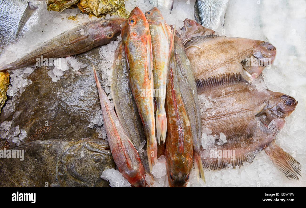 Poissons frais Banque de photographies et d’images à haute résolution ...
